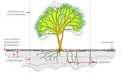 The Root Of It All Mark Laurences Blog