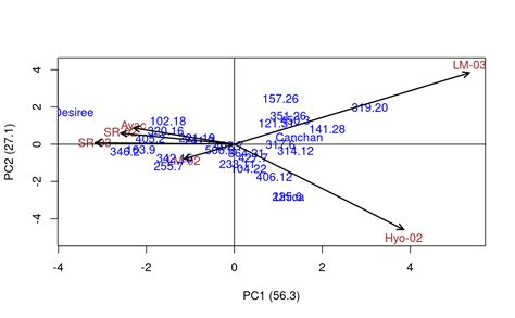 Ammi Analysis — Ammi • Agricolae