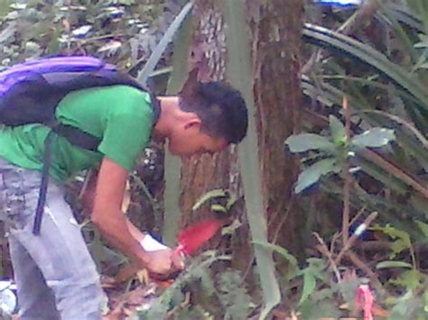 TREE PLANTING ACTIVITIES Silab Community High Babe