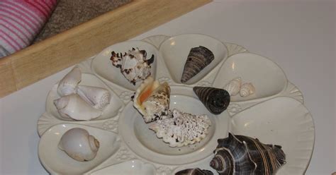 Simply Montessori Sorting Classifying With Shells