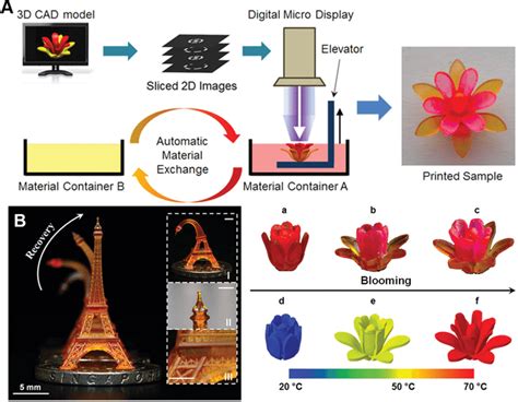 Multimaterial 4d Printing With Tailorable Shape Memory Polymers 97 A Download Scientific