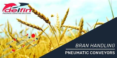 Wheat Flours And Bran Handling Delfin