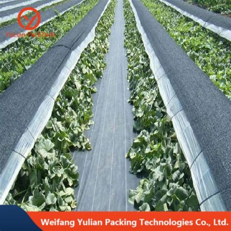 Hdpe Grass Proof Cloth Prevent Weed Growth Cover Ground Cover For
