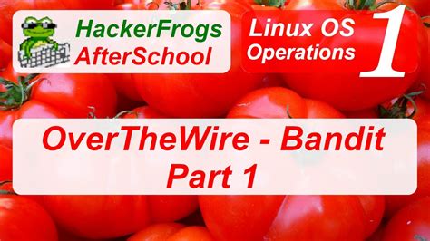 HackerFrogs AfterSchool - Linux OS Operations Workshop 1 - Overthewire - Bandit CTF Part 1 of 2 ...