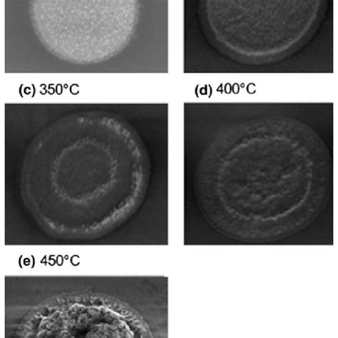 Average Grain Size Versus Annealing Temperature An Increase In The