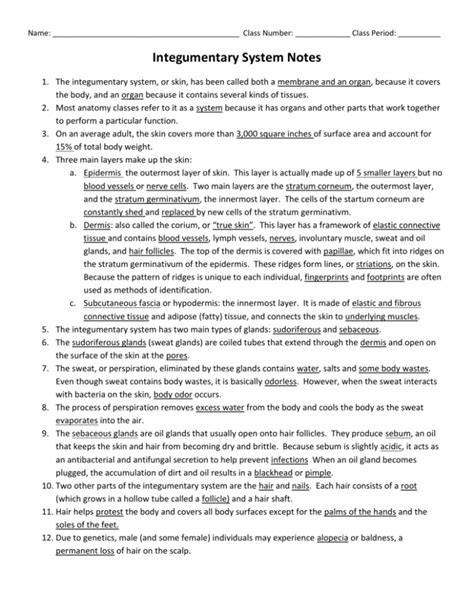 Integumentary System Notes