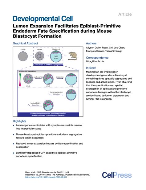 Pdf Lumen Expansion Facilitates Epiblast Primitive Endoderm Fate Specification During Mouse