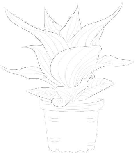 Isolated Tree Rose Flower Hand Drawing Line Art With Leaves 9206450 Vector Art At Vecteezy