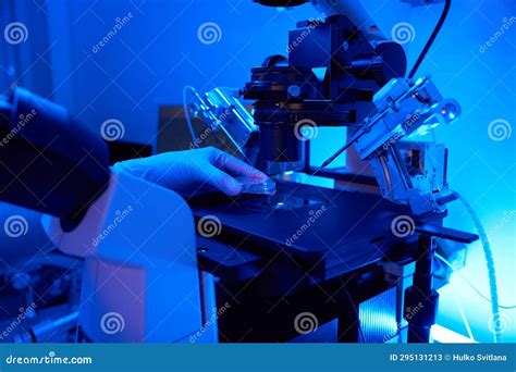 Lab Scientist Preparing For Cell Manipulation With Micromanipulator Stock Image Image Of