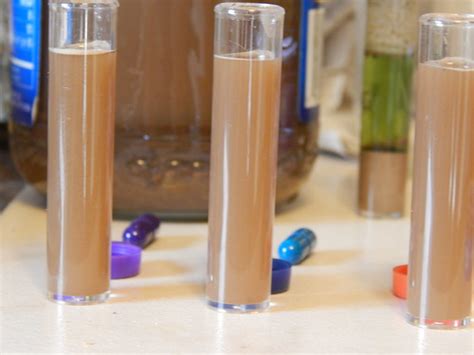 Can I Use A Home Soil Test Kit To Test My Soil The Demo Garden Blog