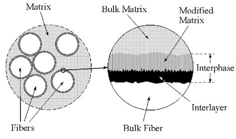 A Schematic Illustration Of A Composite Interphase Download