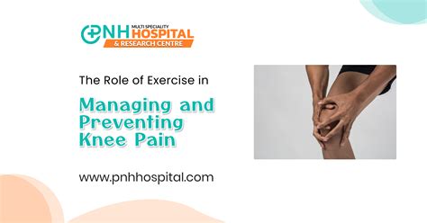 The Role Of Exercise In Managing And Preventing Knee Pain