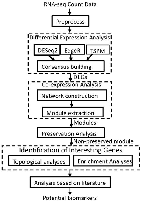 Workflow A Consensus Is Built To Find Differentially Expressed Genes Download Scientific