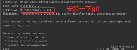 linux安装git和maven——拉取代码 ＞ mvn打包成jar包 ＞运行jar包 linux服务器mvn打包 csdn博客