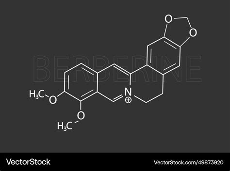 Acetic Acid Molecular Skeletal Chemical Formula Vector Image