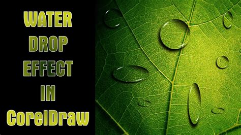 How To Make Water Drop Effect In Coreldraw Coreldraw Effects Youtube
