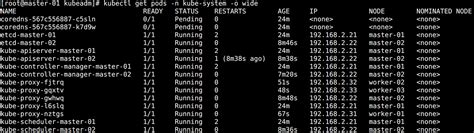 Kubernetes集群搭建 Kubernetes集群安装