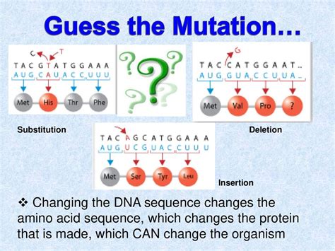 mutations ppt download