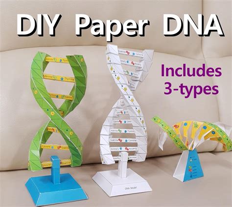 Diy 3d Paper Dna Models Double Hexlix Adenine Guanine Cytosine