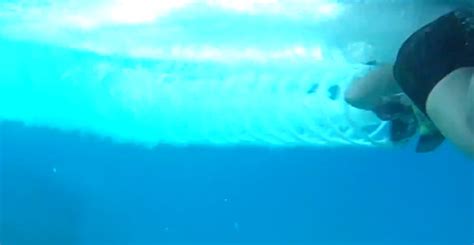 Diver Struck By Propeller Caught On Underwater Video