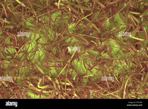 Background Abstract Messy Strings Virtual Backdrop Cgi Composition