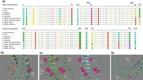 tlr‐7 polymorphism and 3d structure a sequence alignments of several