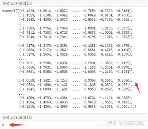 Pytorch CNN 猫狗分类实战 知乎