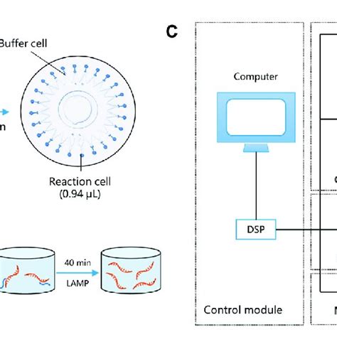 Working Principle Of The Miniaturized Microfluidic Chip System A Download Scientific Diagram