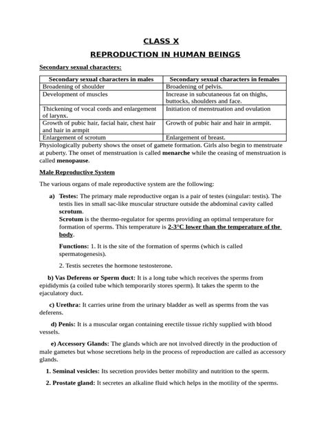 Human Reproduction Class 10 Pdf Fertilisation Reproductive System