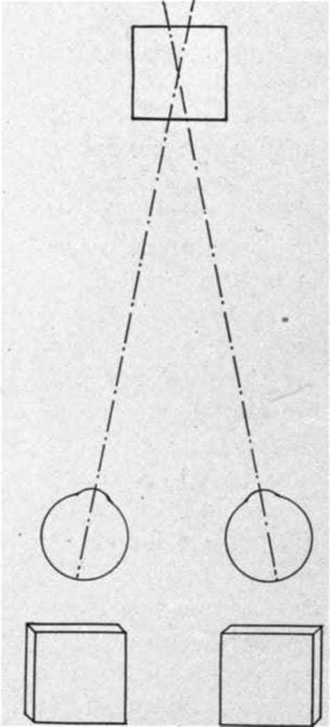 Principles Of Stereoscopic Vision