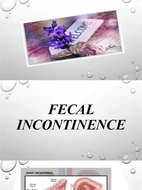 Fecal Incontinence Pdf Constipation Health Sciences