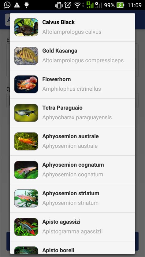 Android Spinner Getselecteditem Throwing Exception Stack Overflow