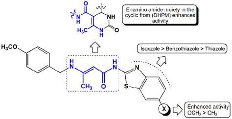 Proposed Structure Activity Relationship For Assessed Download Scientific Diagram