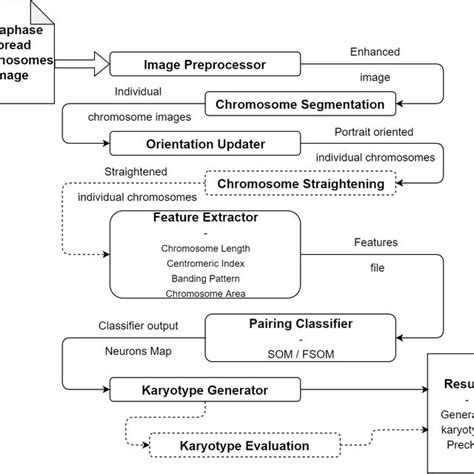 Overview Of Karyml Framework Processor Chromosome Segmentation