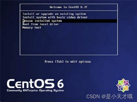 linux进入光盘修复模式 linux光盘修复 csdn博客