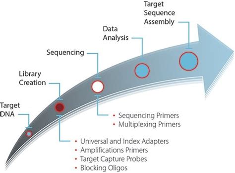 Custom Next Gen Sequencing Oligos