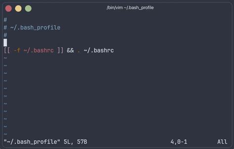 初识 Vim 东秦计科人生存手册