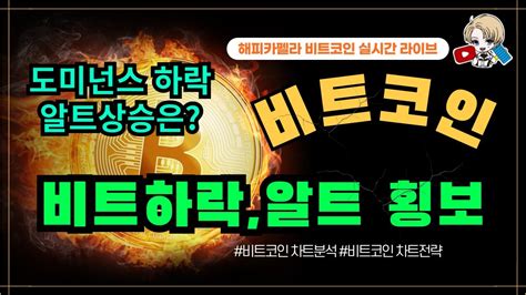 비트코인 실시간 알트코인 순환펌핑 중 오늘의 추가 펌핑은 217 아침💎비트코인 비트코인실시간 이더리움 리플 Cryptocurrency 차트분석 Youtube
