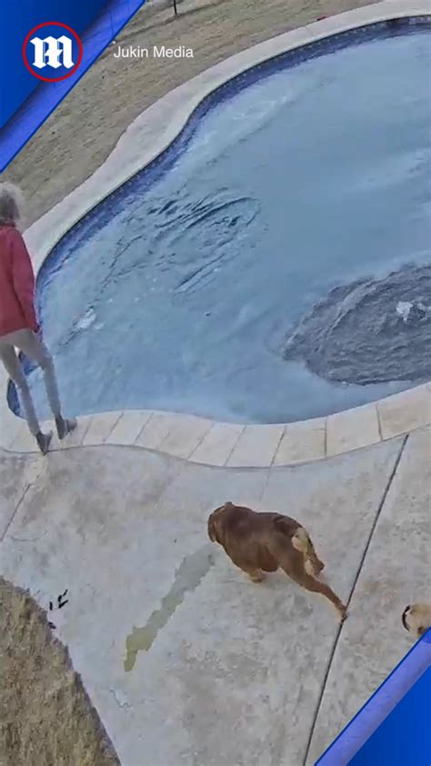 Lady Leaps Into Frozen Pool To Rescue Pup Puppy Woman Swimming Pool