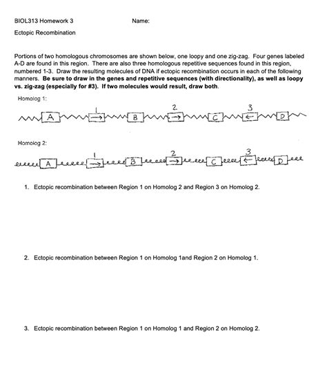 Solved Biol313 Homework 3 Name Ectopic Recombination