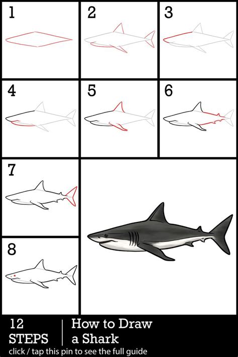 How To Draw A Realistic Shark Step By Step