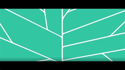 New Brand Sovena Youtube