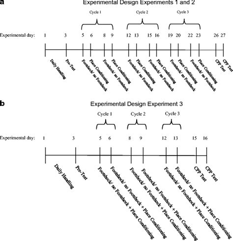 Schematic Representation Of The Experimental Design Employed In A