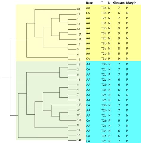 The Pca Sample Dendrogram Generated By Unsupervised Clustering Analysis