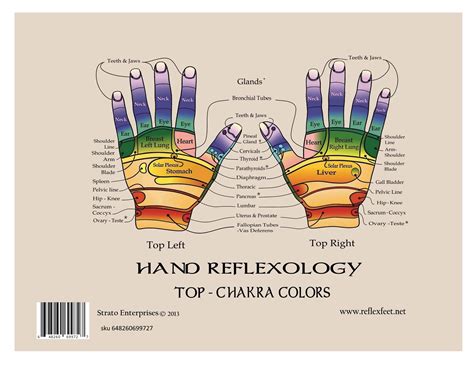 Reflexology Hand Chart Etsy