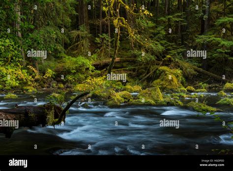 Oregon Willamette National Forest Blue Pool On The Mckenzie River