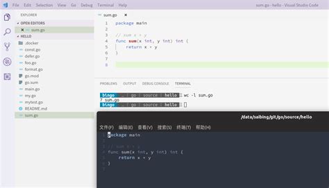 format go code file with two blank line does not work · issue 2279