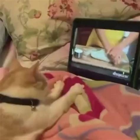 Practice Makes Perfect Album On Imgur