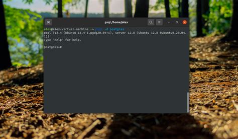 Установка postgresql в ubuntu losst