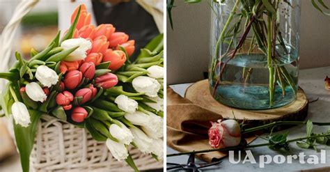 Как ухаживать за букетом цветов чтобы он дольше не увял простые лайфхаки